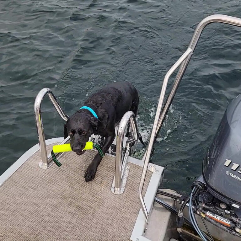 Easy Step Boarding Ladder - Lillipad Marine