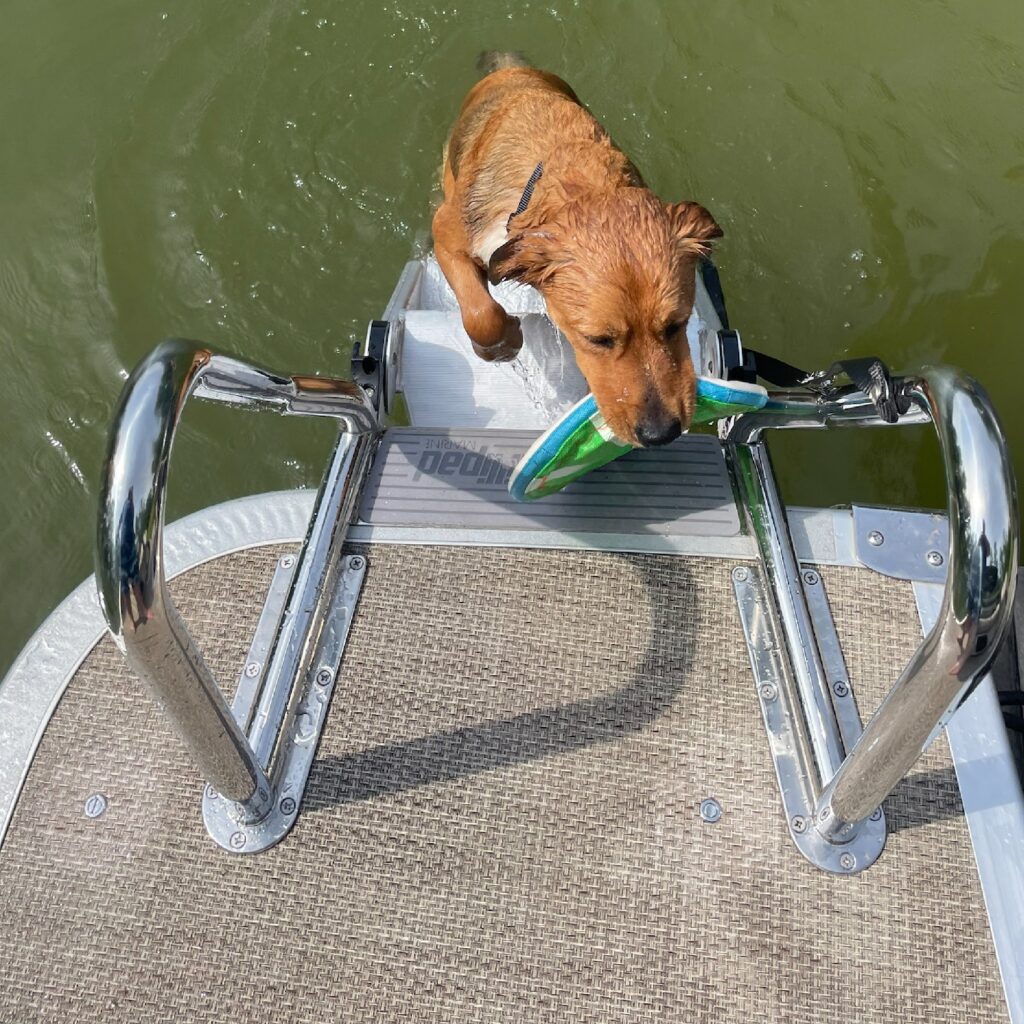 Easy Step Boarding Ladder - Lillipad Marine