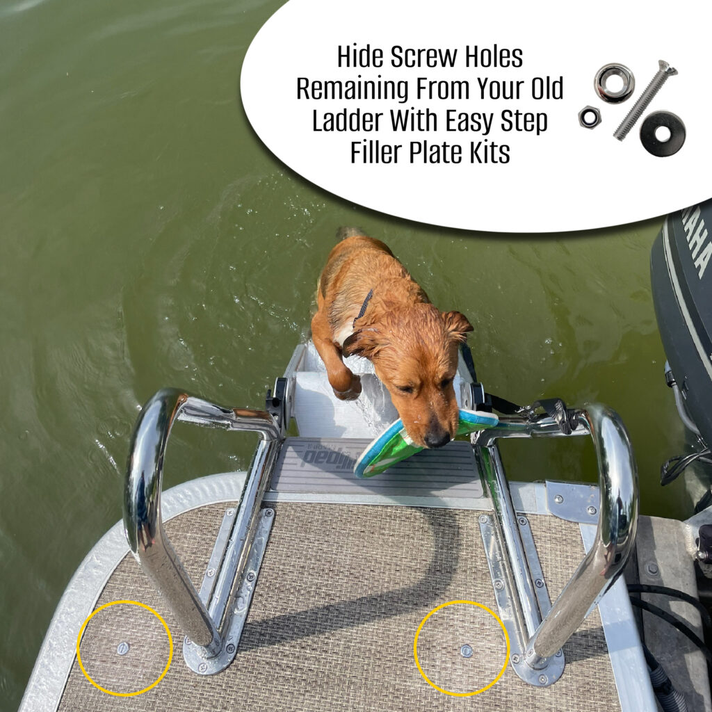 Lillipad Marine: Pontoon Boat Ladders for People & Dogs | LilliPad Marine