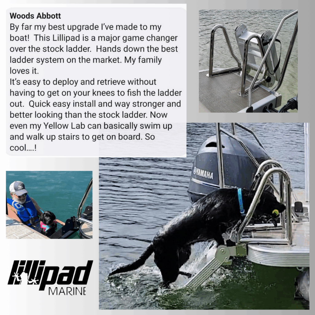 Pontoon Boat Dog Ladder - Lillipad Marine